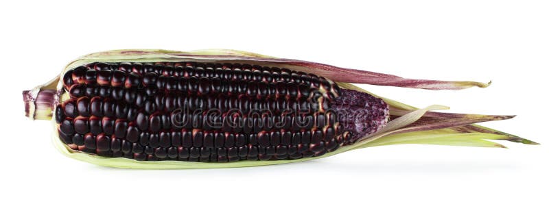 Siam Ruby Queen Is Super Sweet Corn With Red Color, Can Be Eaten Fresh ...