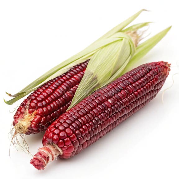 Siam Ruby Queen Thai Red Corn Isolated on White Background Stock ...