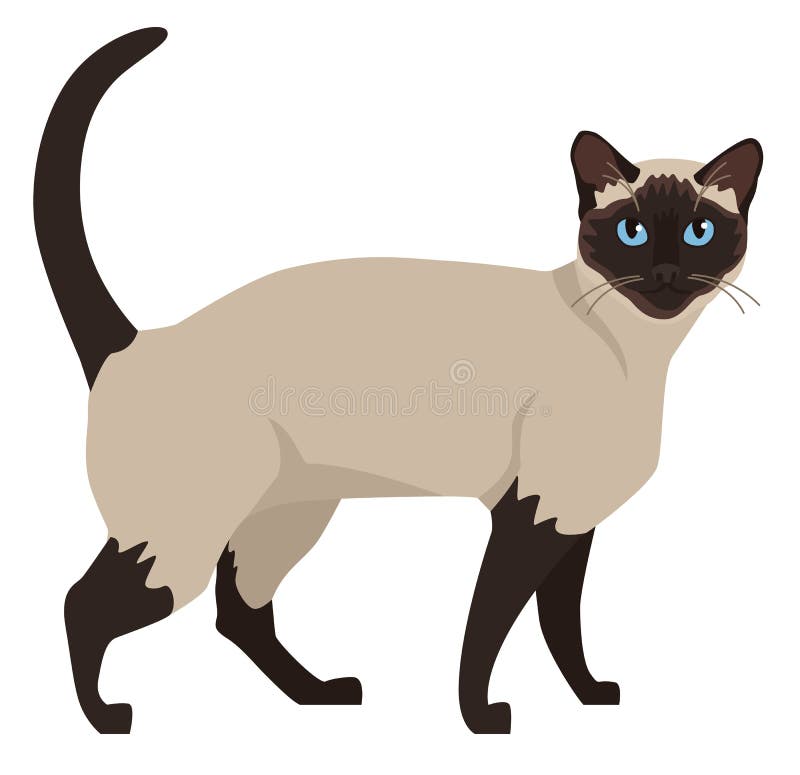 Siamese Cat In Flat Design Style. Cute Cartoon Character With Blue Eyes ... Siamese Cat In Flat Design Style. Cute Cartoon Character With Blue Eyes ...