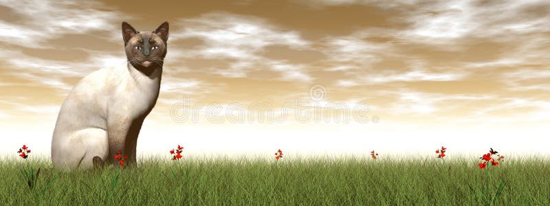 Siamese cat - 3D render stock illustration. Illustration of animal ...