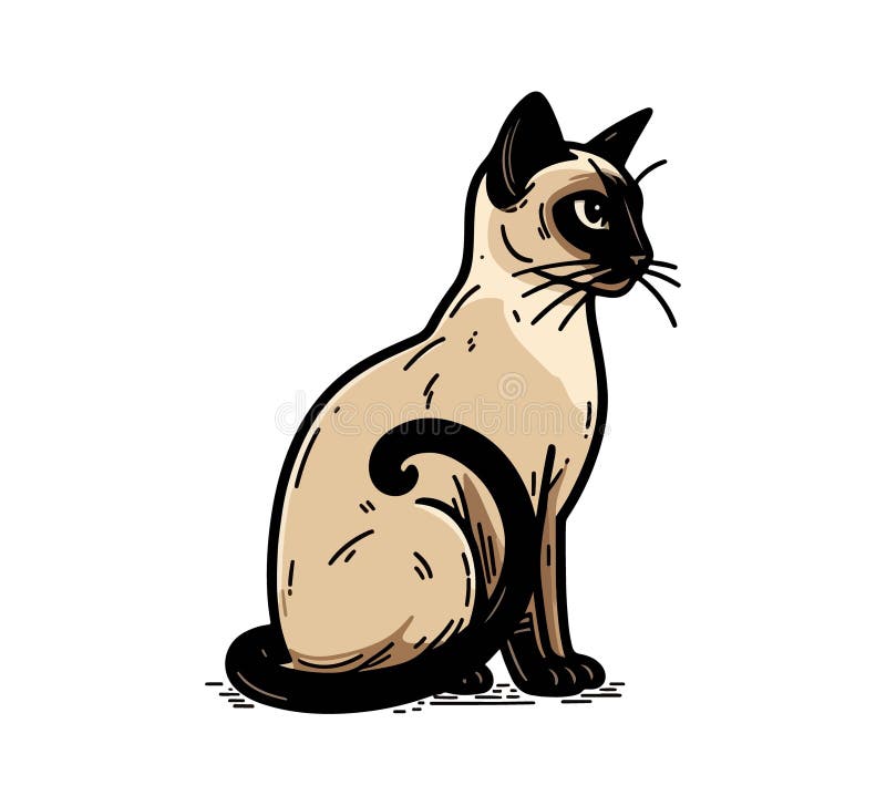 Siamese Cat Hand Drawn Vector Graphic Asset Stock Vector - Illustration ...