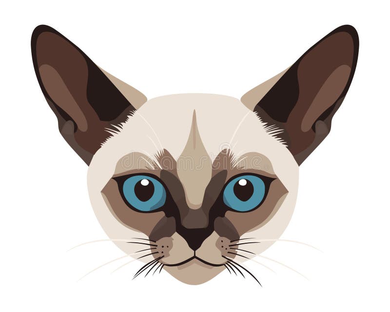 Siamese Cat Head. Vector Isolated Illustration Stock Illustration ...