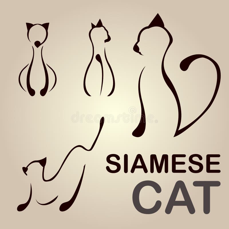 Siamese Cat Line stock vector. Illustration of purebred - 60244932