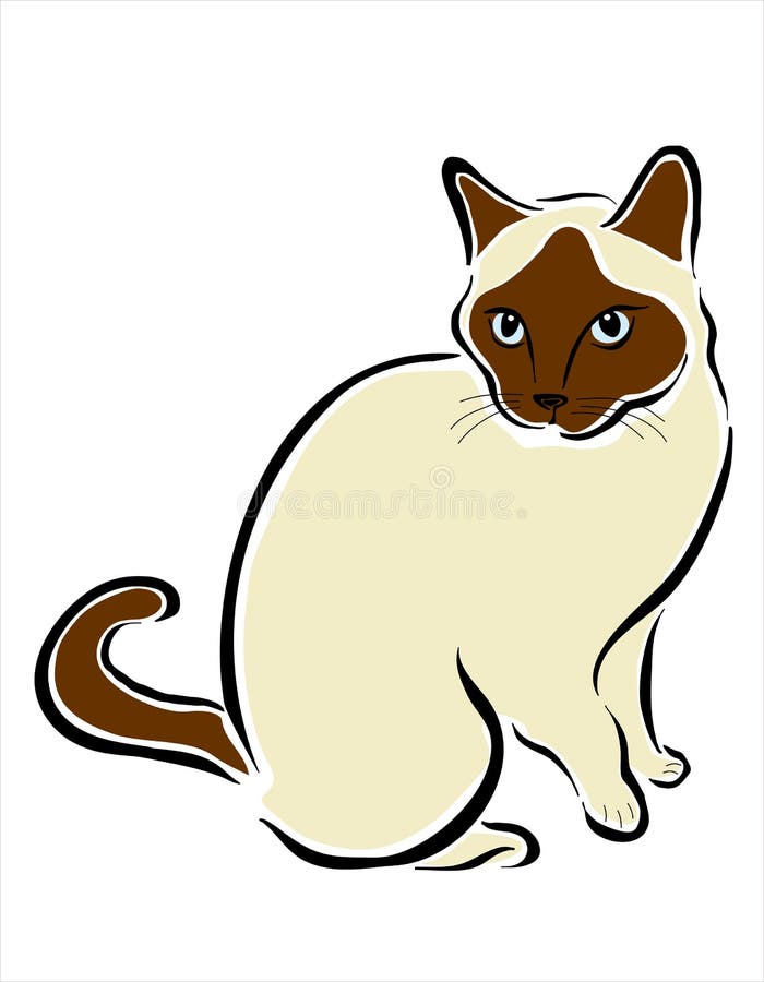 Siamese Cat stock vector. Illustration of color, animal - 66439436 Siamese Cat stock vector. Illustration of color, animal - 66439436