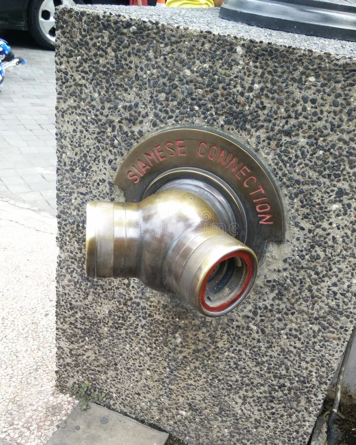 The Siamese connection stock photo. Image of connection - 248722238