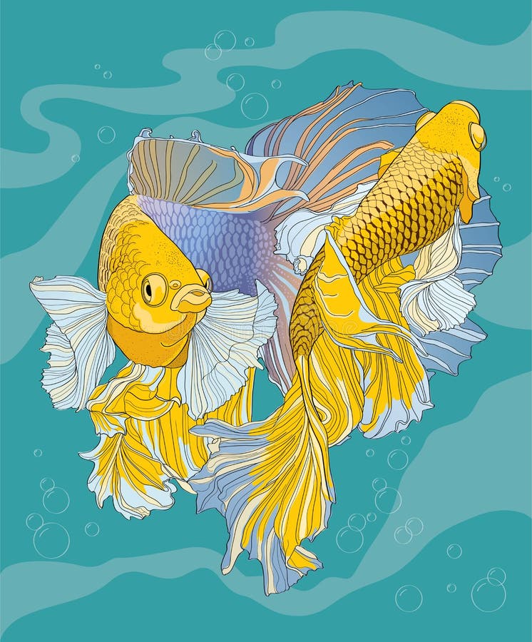 Fighting Fish Siamese Stock Illustrations – 1,668 Fighting Fish Siamese Stock Illustrations ...