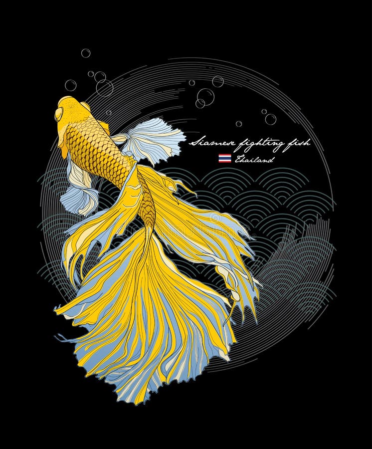 Fighting Fish Siamese Stock Illustrations – 1,668 Fighting Fish Siamese Stock Illustrations ...