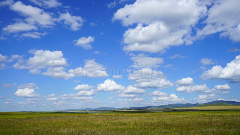 Siberia Steppes in the Summer Stock Photo - Image of blossom, grassland ...
