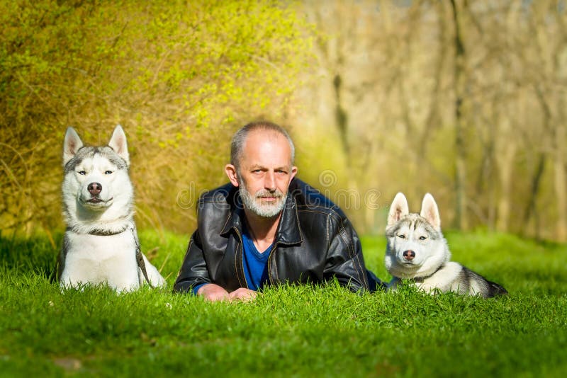 Siberian Huskies and Their the Owner Stock Image - Image of vacation ...