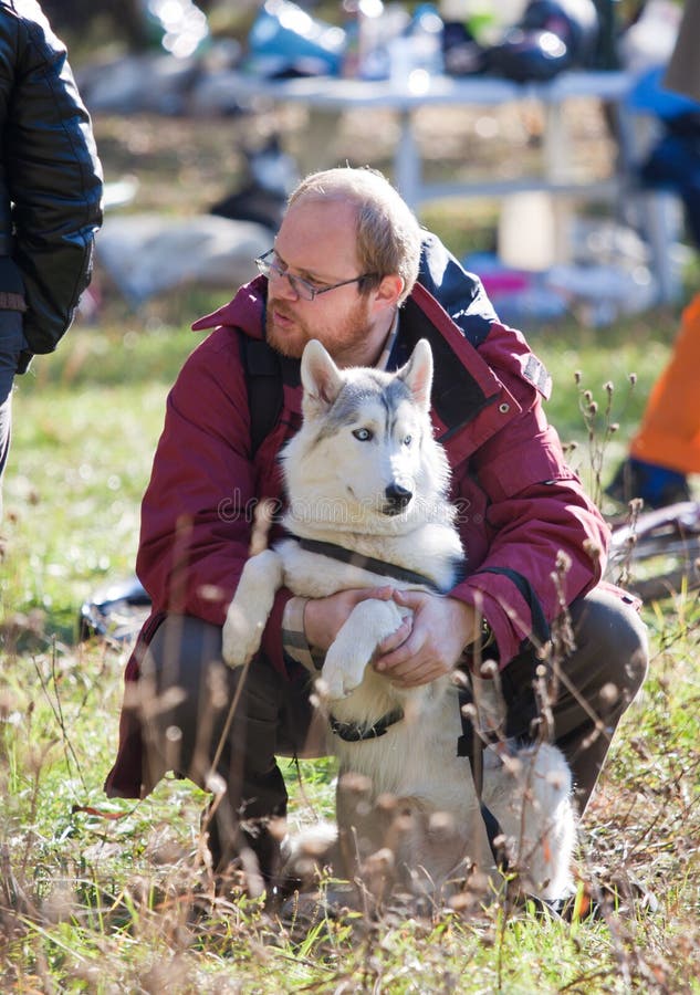 Siberian Husky with a man stock photo. Image of expertise - 16617716