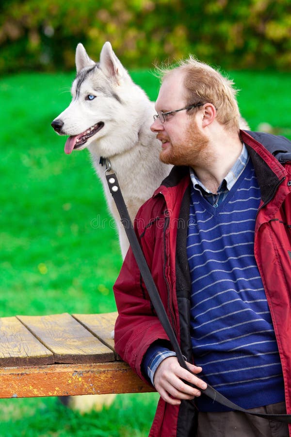 Siberian Husky with a man stock image. Image of sled - 16815339