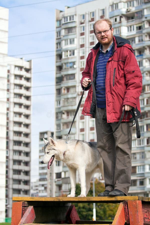 Siberian Husky with a man stock photo. Image of pets - 18167444