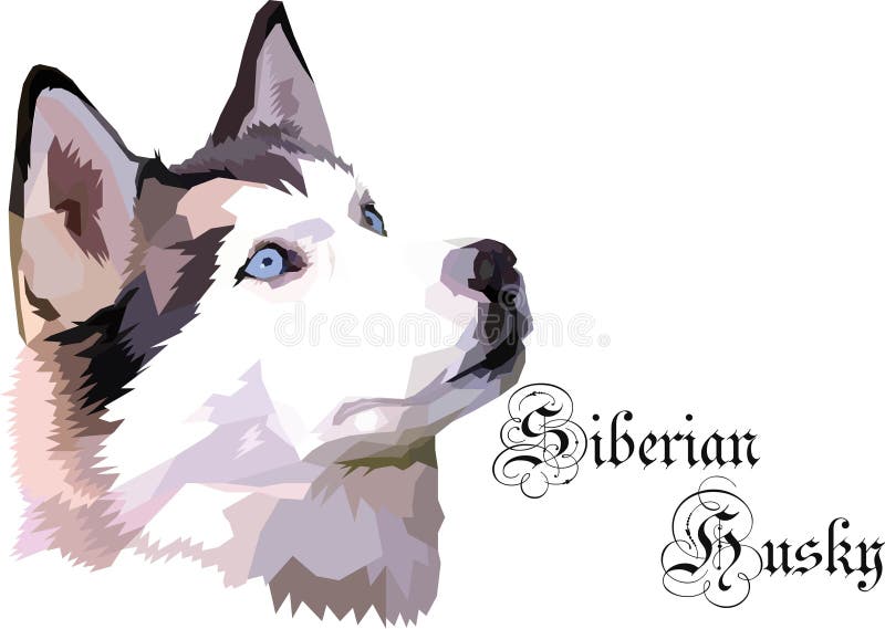 Husky Wolf Cute Drawings Cartoon Husky Images – Browse 44,894 Stock