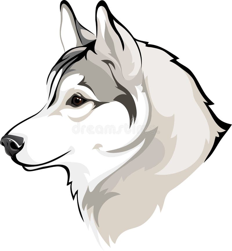 Siberian Husky stock vector. Illustration of profile - 34634664
