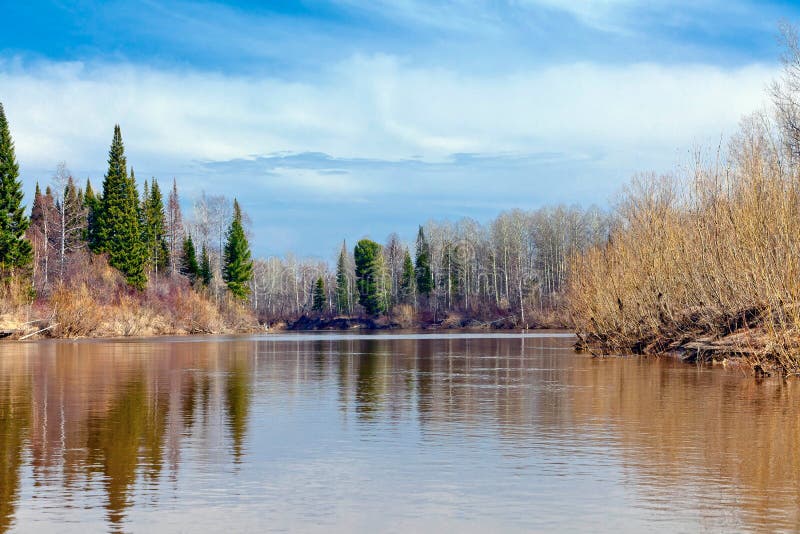 Siberian landscape stock image. Image of field, horizon - 18947539