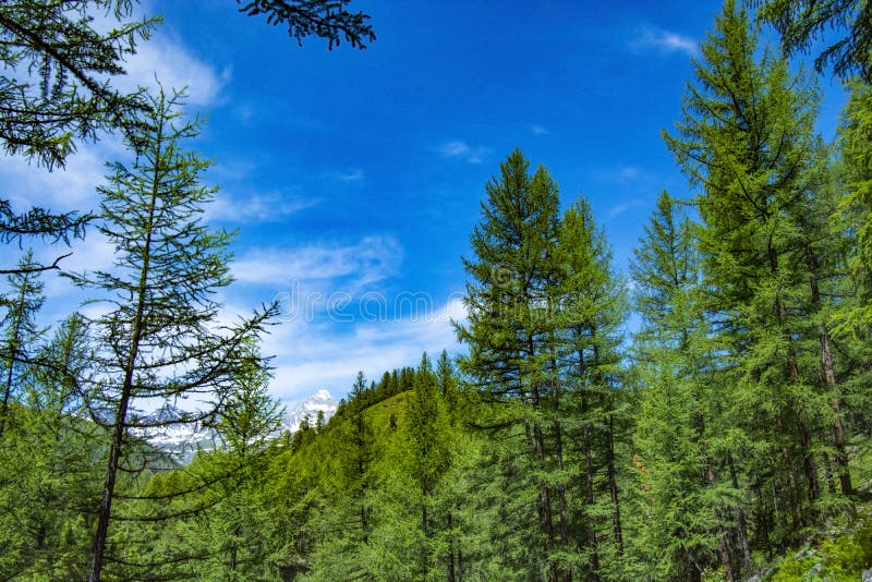 Siberian Mountain Taiga, Mountains in the Clouds, Altai Stock Photo ...
