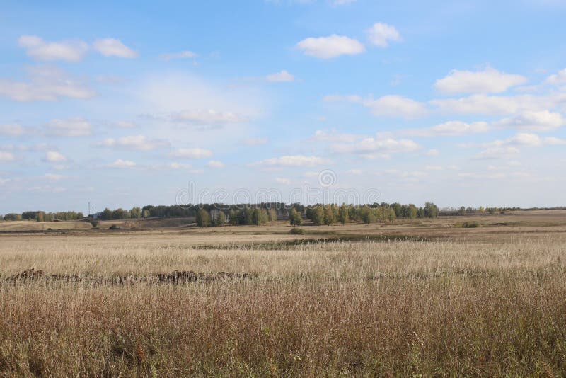 Siberian Plain Field with Grass Spacious Landscape Stock Image - Image ...