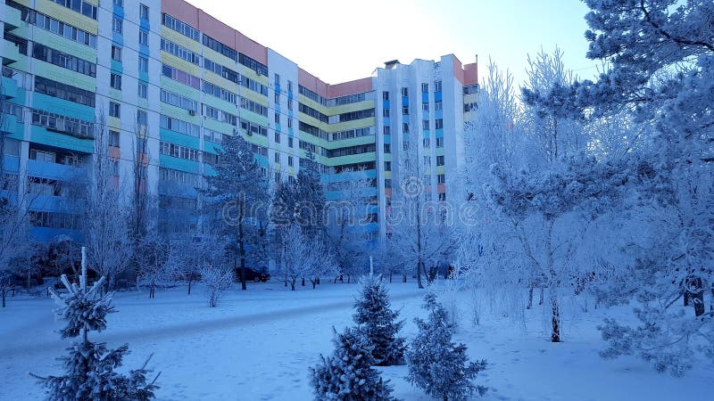 Siberian Winter in the City Stock Photo - Image of trees, loveliness ...