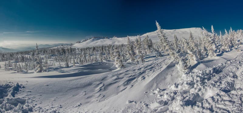 Siberian winter stock photo. Image of travel, panorama - 53647334