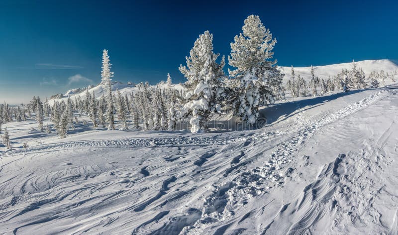 Siberian winter stock photo. Image of russia, siberia - 53647612