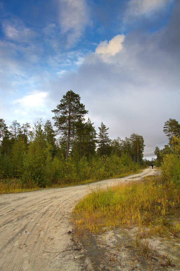 Sibirien-Wald. Yamal stockfoto. Bild von sibirien, sonnenschein - 38390842