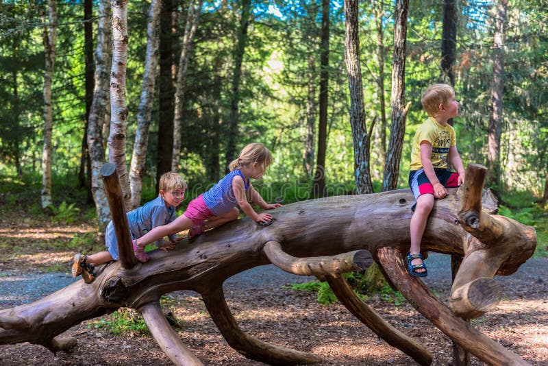 Siblings Climbing on a Big Log in a Forest Stock Image - Image of huge ...