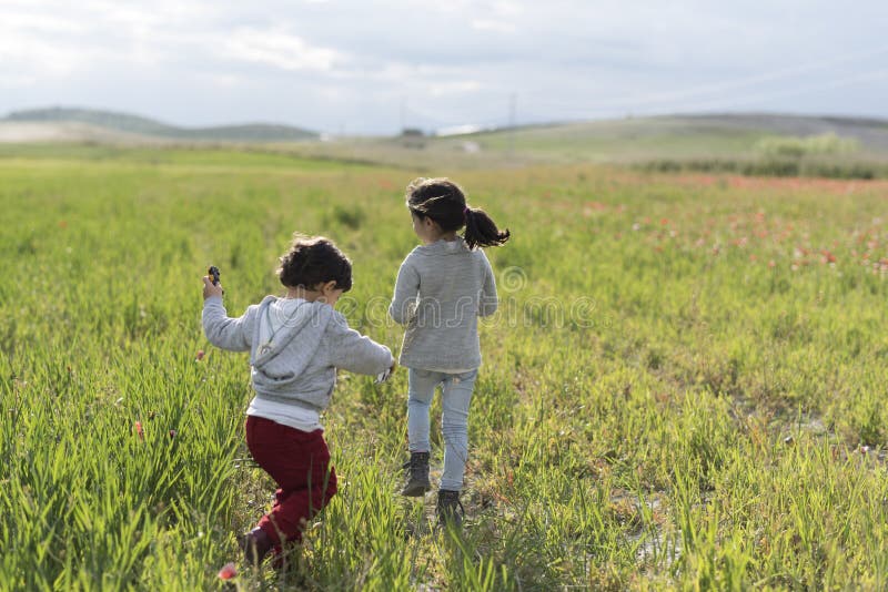 Siblings Playing in Poppies Stock Photo - Image of back, spring: 115878864