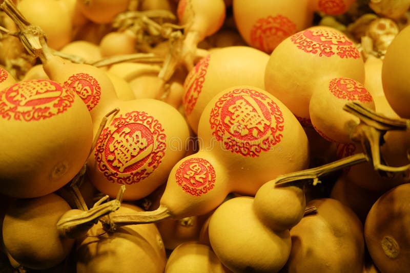 Youg De Siceraria De Lagenaria Sur Le Fond Blanc Photo stock - Image du ...