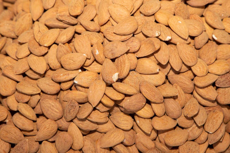 Sicilian Almonds, Dried Fruit Stock Photo - Image of orange, christmas ...