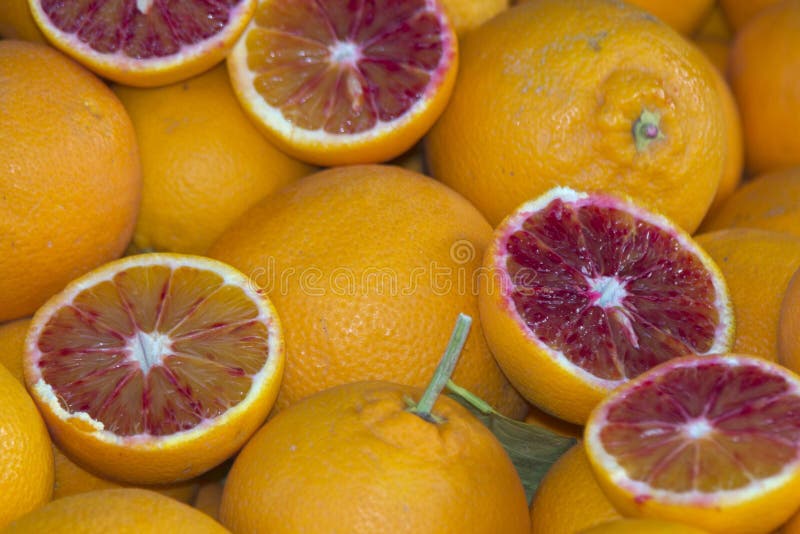 Sicilian oranges stock image. Image of oranges, mandarin - 49307631