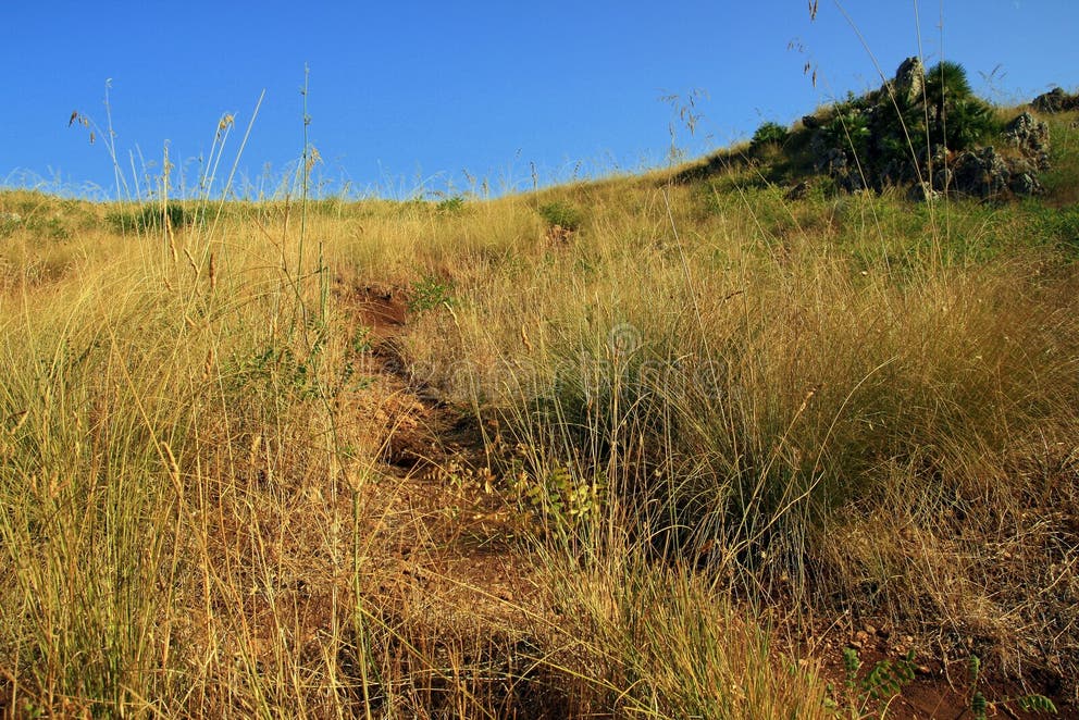 Sicilian wild country stock photo. Image of bare, field - 3234454