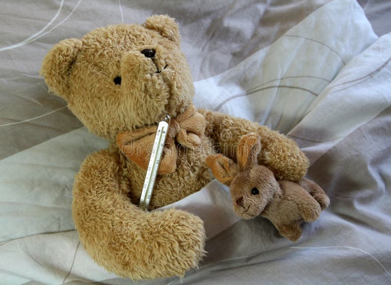 Sick bear stock image. Image of dopey, check, infect, kids - 3842051