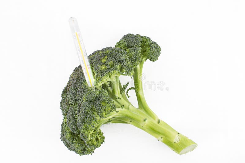 The Sick Broccoli. Stretched Out, Tired and with the Thermometer ...