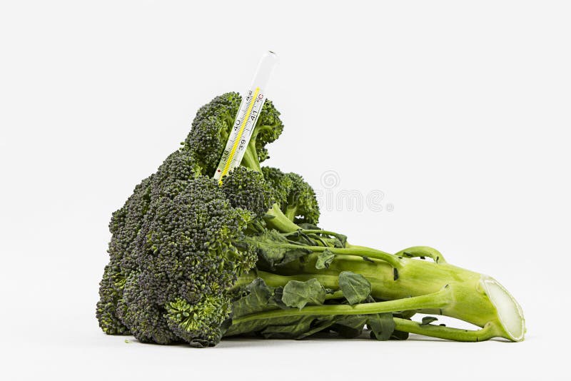 The Sick Broccoli. Stretched Out, Tired and with the Thermometer ...