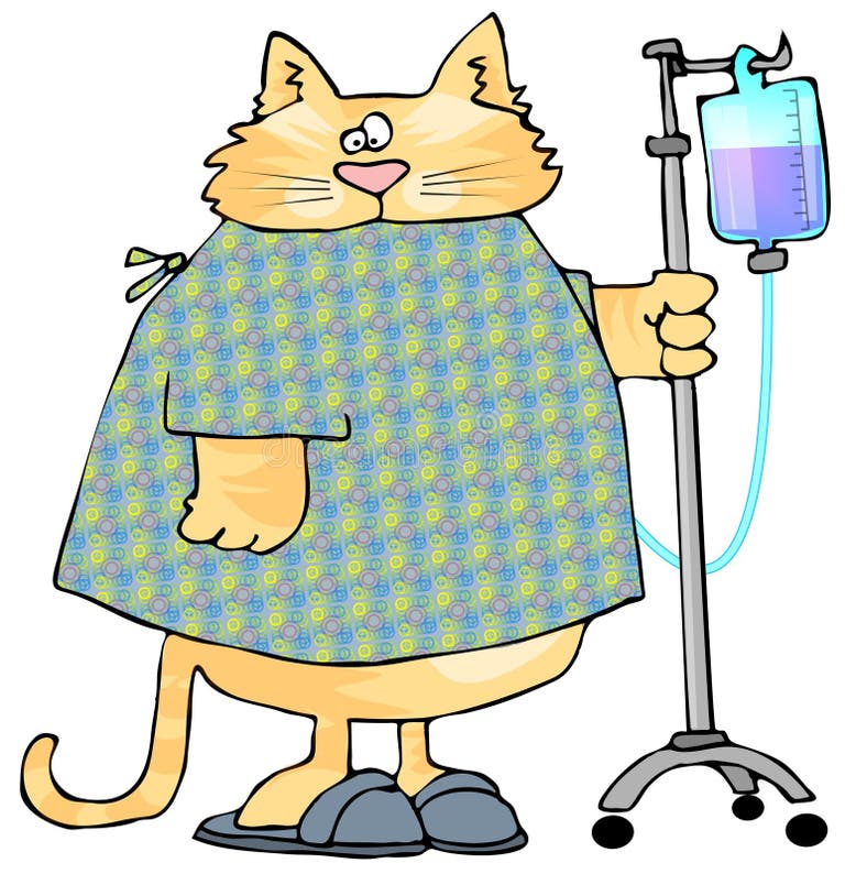 Sick Cat Stock Illustrations – 5,387 Sick Cat Stock Illustrations ...