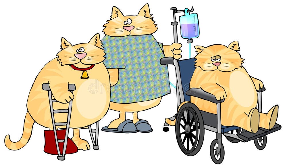 Sick Cats stock illustration. Illustration of feline, medicine - 3785336