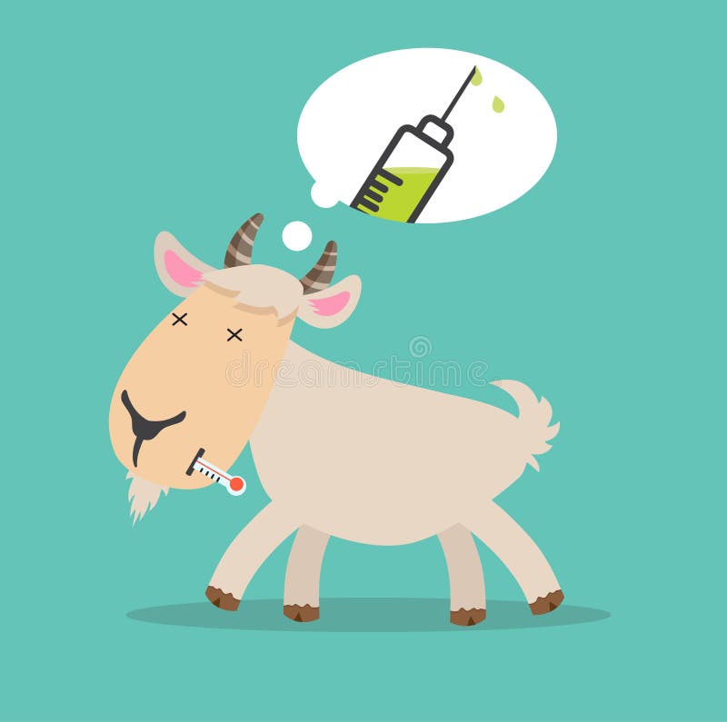 Sick Goat and Dog Animal with Bandage on Leg and Collar on Neck Vector ...