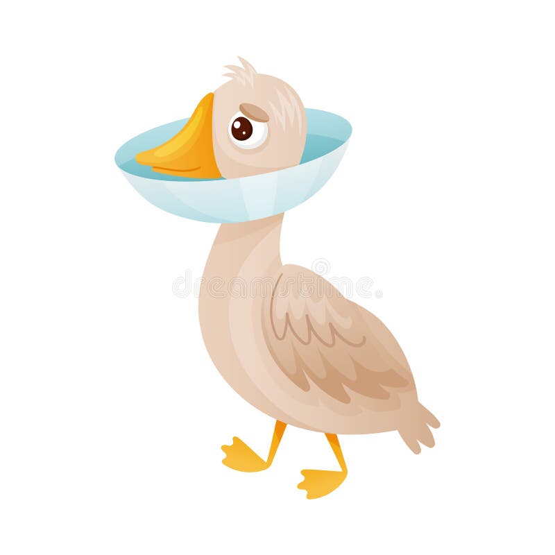 Sick Goose with Protective Veterinary Collar Cartoon Vector ...