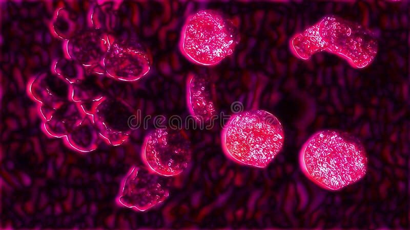 Sick Red Blood Cells Flowing Inside Human Vein Stock Footage - Video of ...