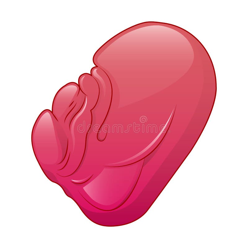 Sick Dog Icon, Cartoon Style Stock Vector - Illustration of cone ... Sick Dog Icon, Cartoon Style Stock Vector - Illustration of cone ...