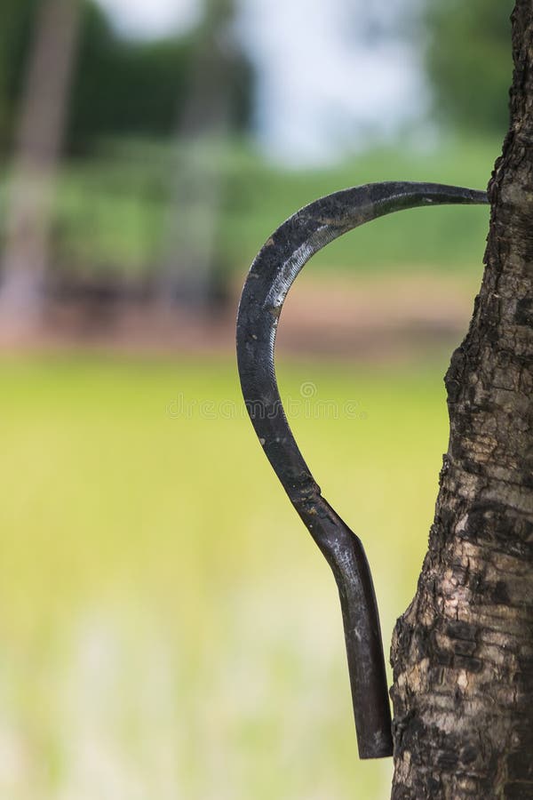The sickle stick stock photo. Image of culture, farmer - 78285112