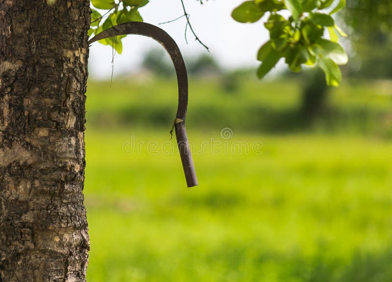 Sickle Stick Stock Photos - Free & Royalty-Free Stock Photos from ...