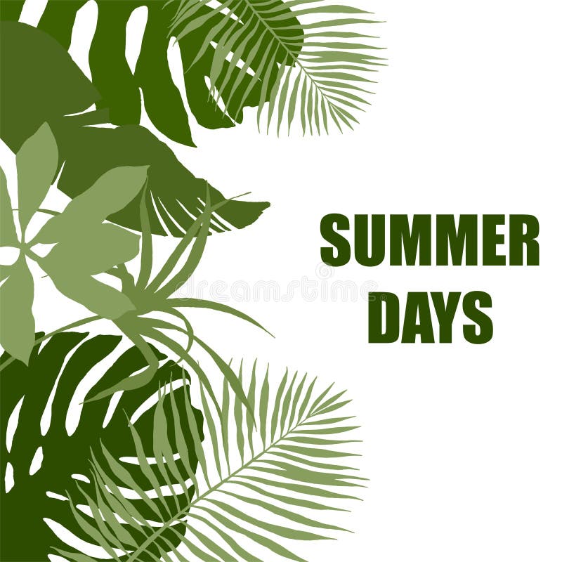 Side Border Green Tropical Leaves Stock Illustrations – 19 Side Border ...