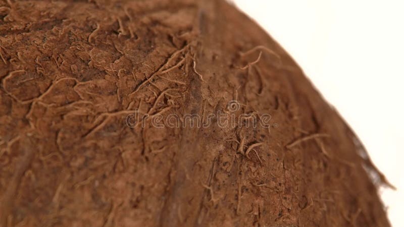 Side of Coconut Isolated on White, Rotation Stock Footage - Video of ...