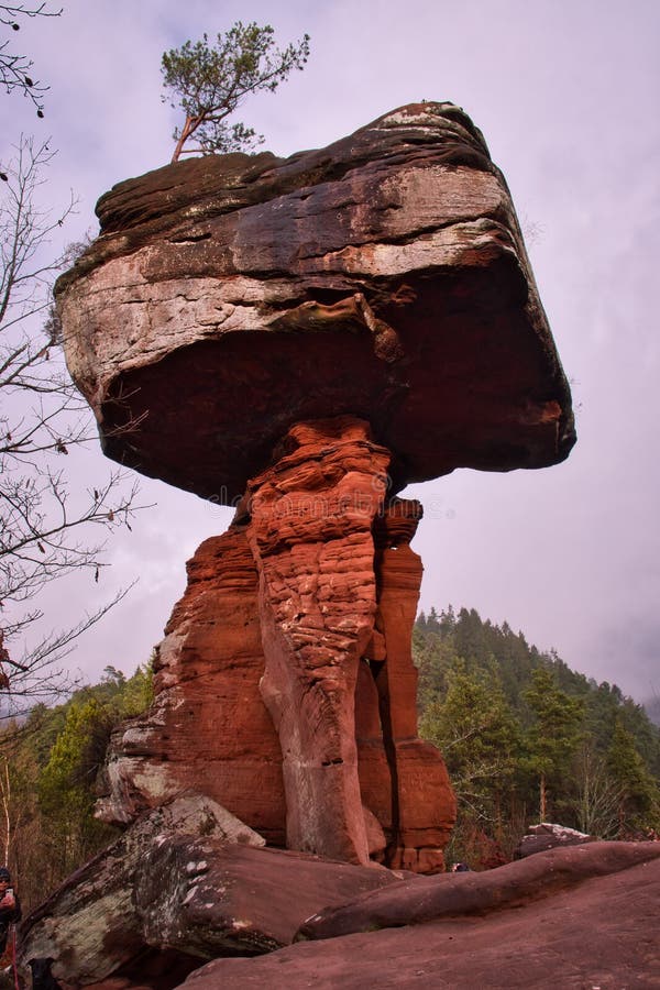 Side of Devil S Table with Tree Growing on Top Stock Image - Image of ...