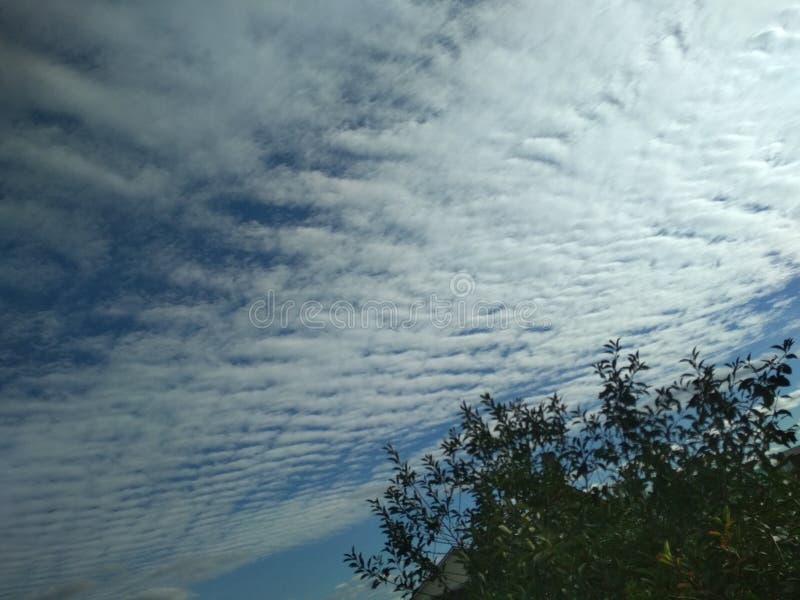 Side Effects of the Use of Experimental Work on Changing the State of ...