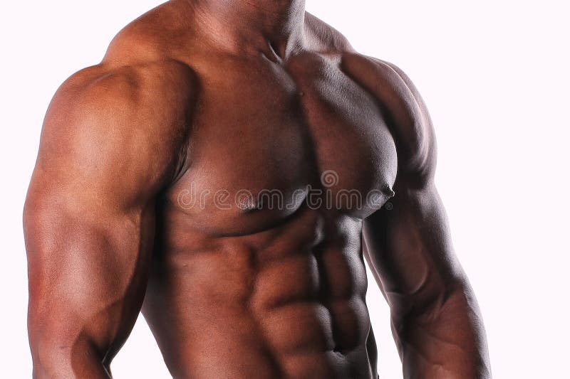 Male Torso stock image. Image of muscle, chest, healthy - 2843391