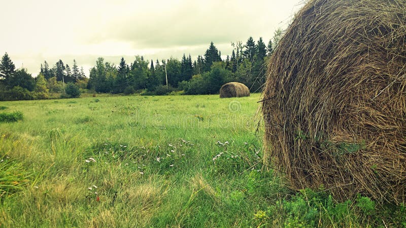 Side Field stock photo. Image of bails, harvested, side - 85577916