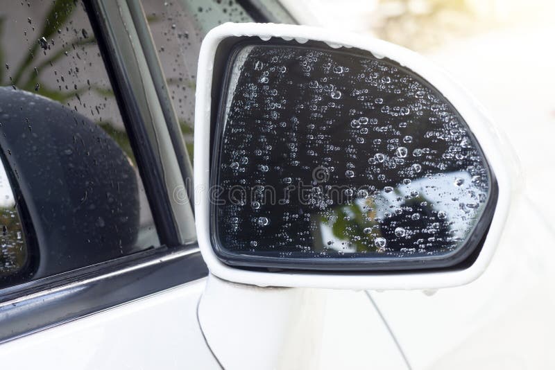 Side Mirror of the White Car. Stock Image - Image of decoration, branch ...