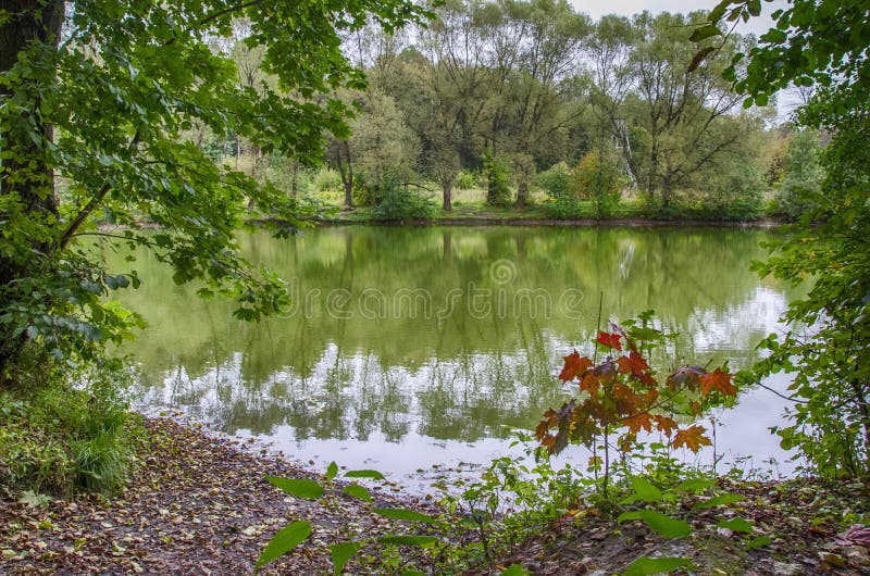 Side of the pond stock photo. Image of silence, lake - 59262856